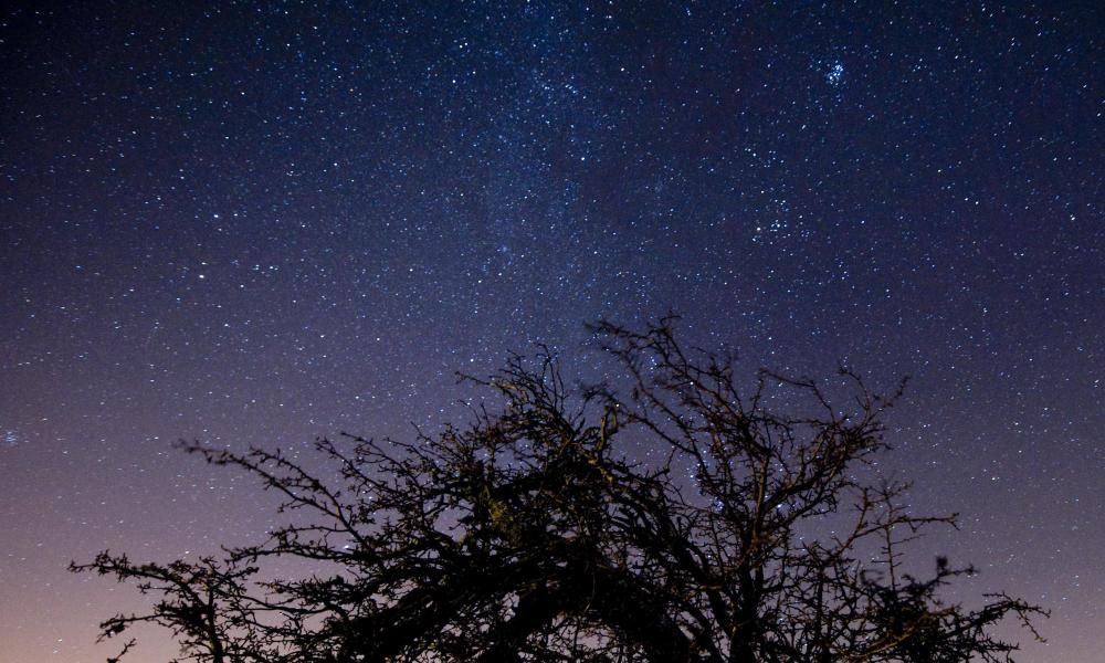 Country diary: The infinite depths of an unpolluted sky