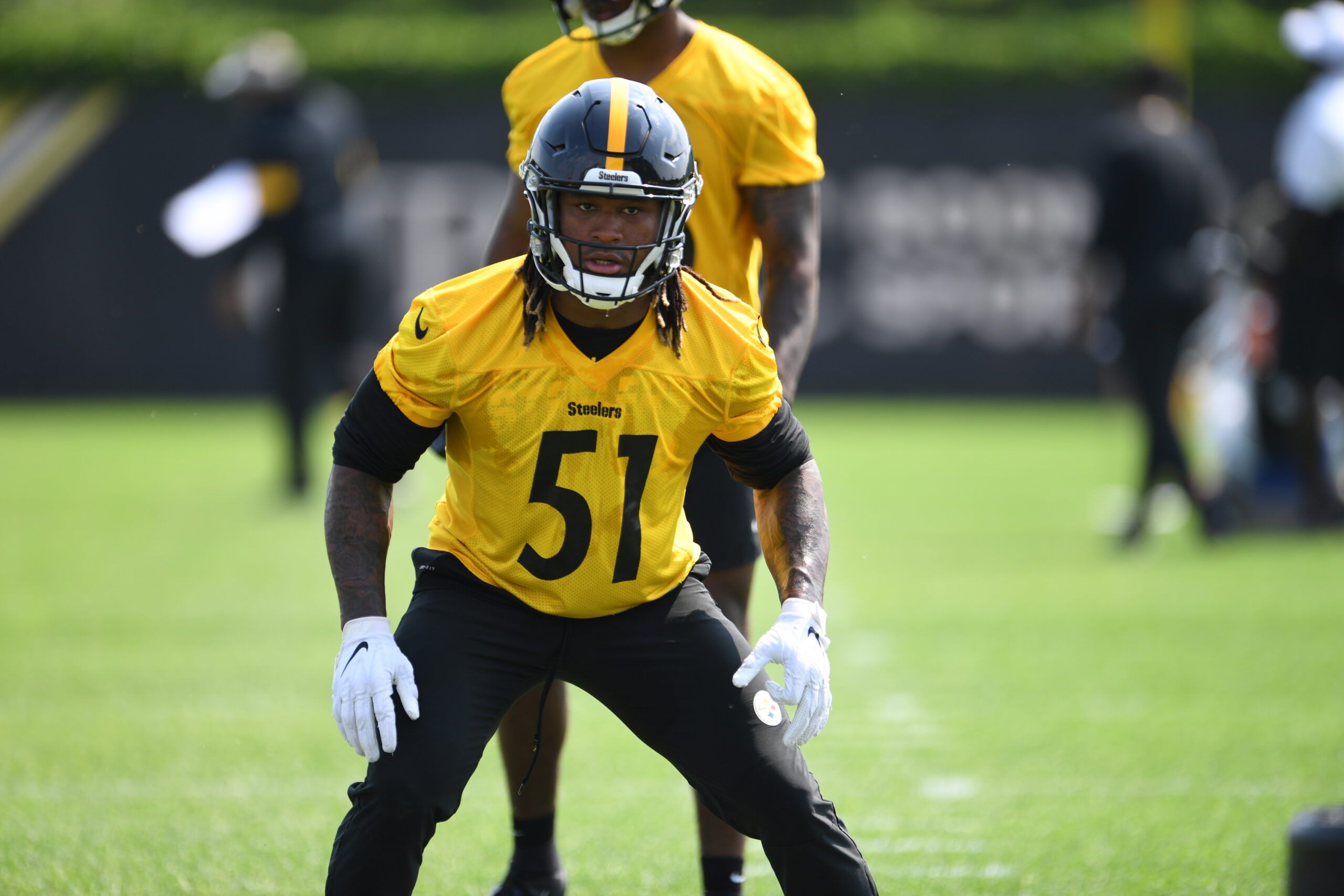 Former Steelers LB Buddy Johnson signs with Bears