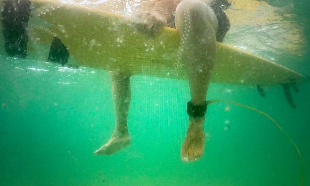 ‘Like a real-life Jaws’: the shark documentary…