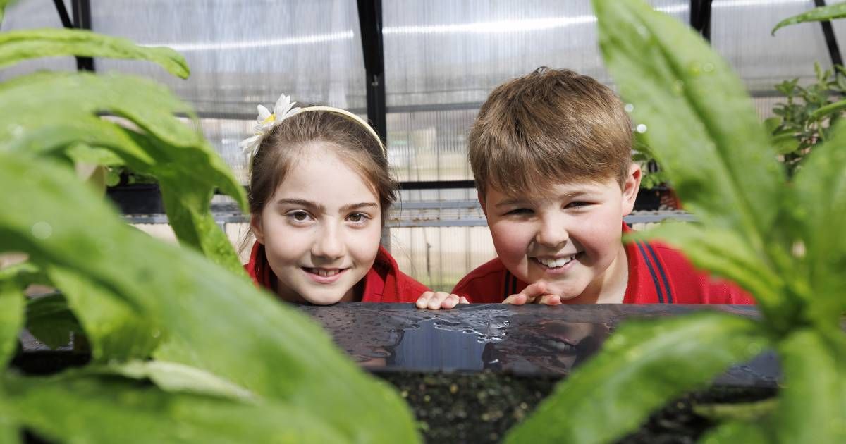Meet the school students who grow and cook their own…