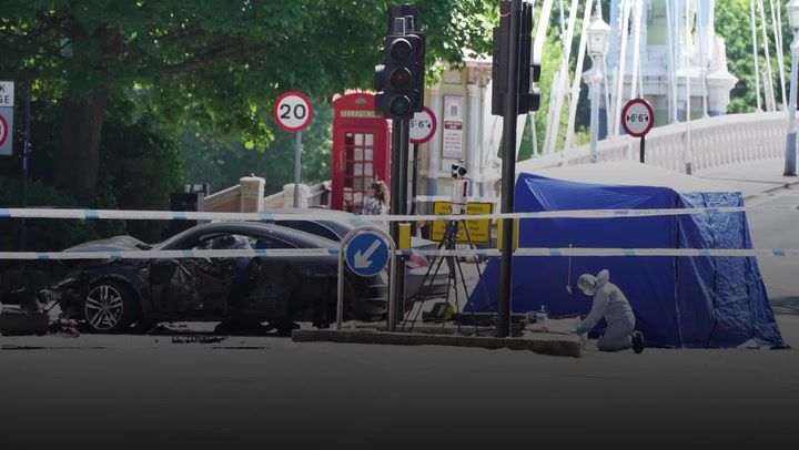 Drug driver who killed woman and three dogs in 60mph…