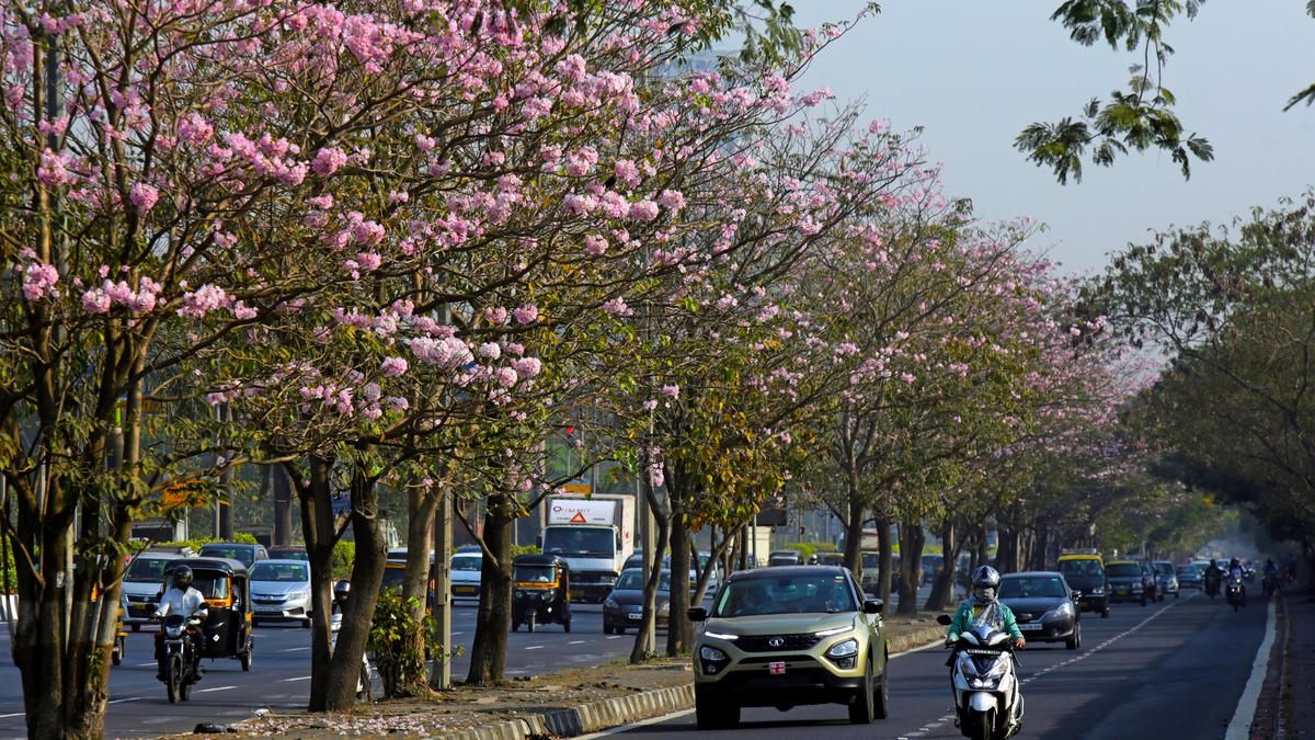 Maharashtra Assembly passes bill empowering local tree…
