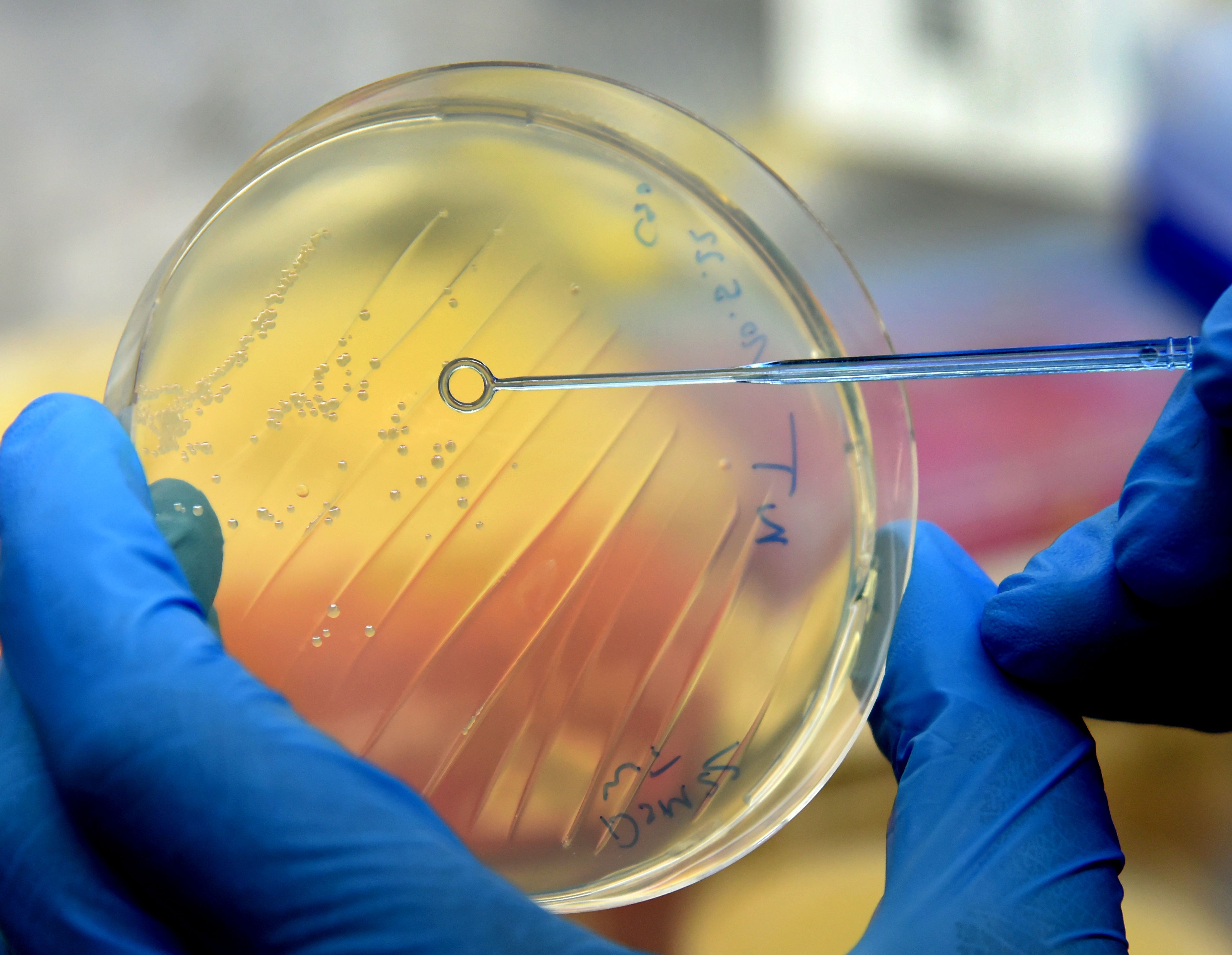 Scientists Engineer Infinitely Recyclable Plastic To…