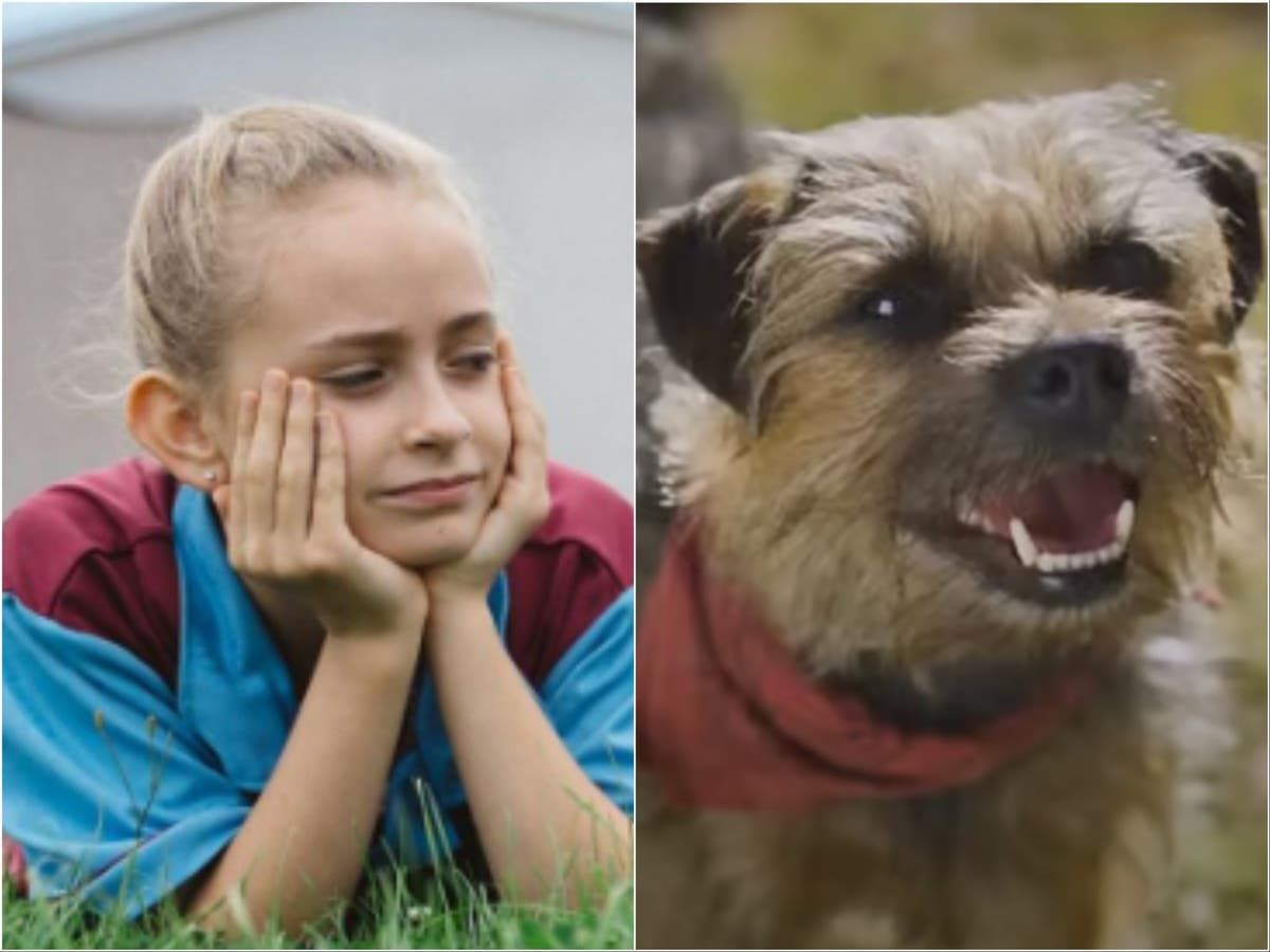 August movie preview: The 5 best films to watch in…