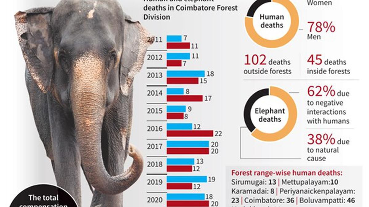 Elephant attacks claim 147 lives in Coimbatore Forest…