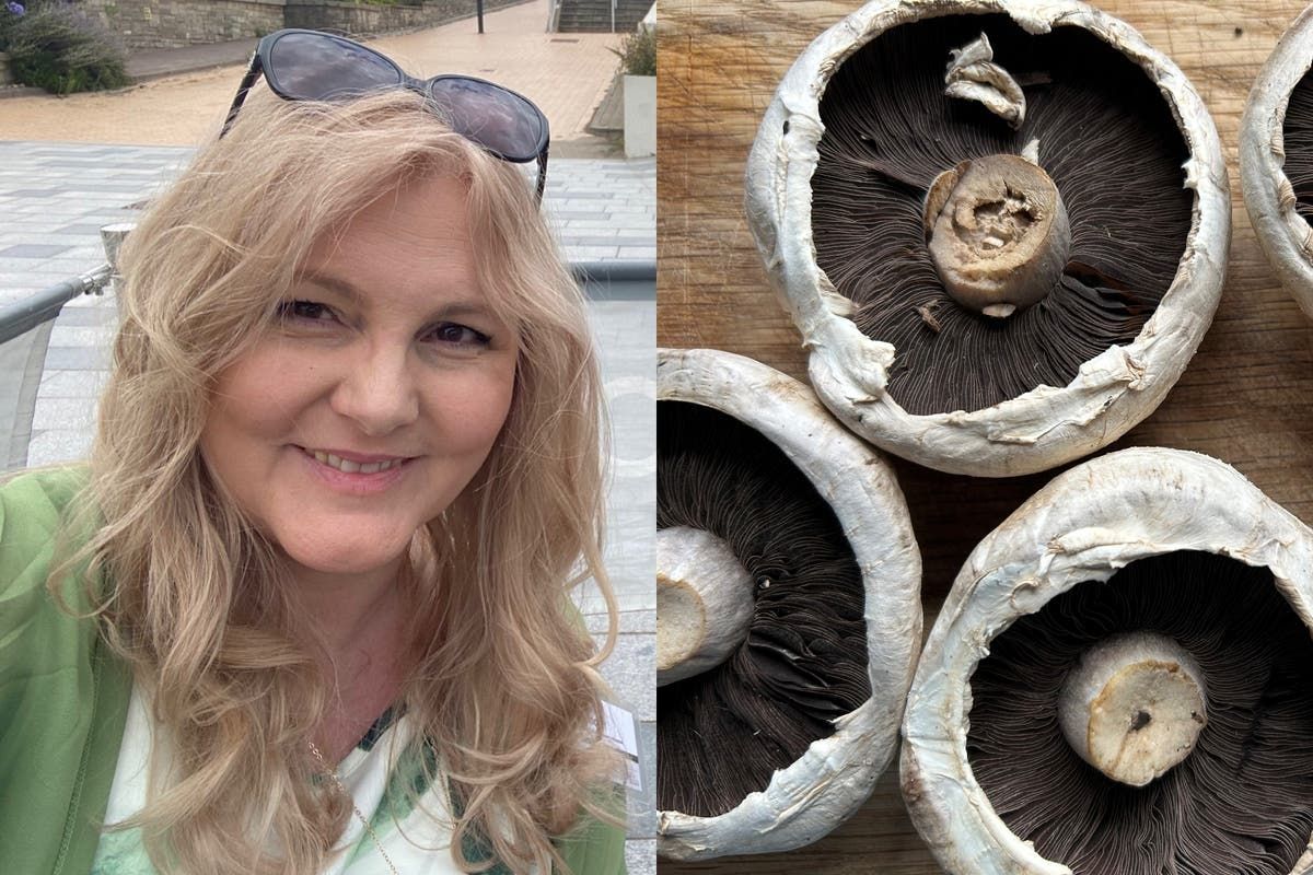 Trypophobia: ‘Mushrooms, Beanie Babies and Doja Cat