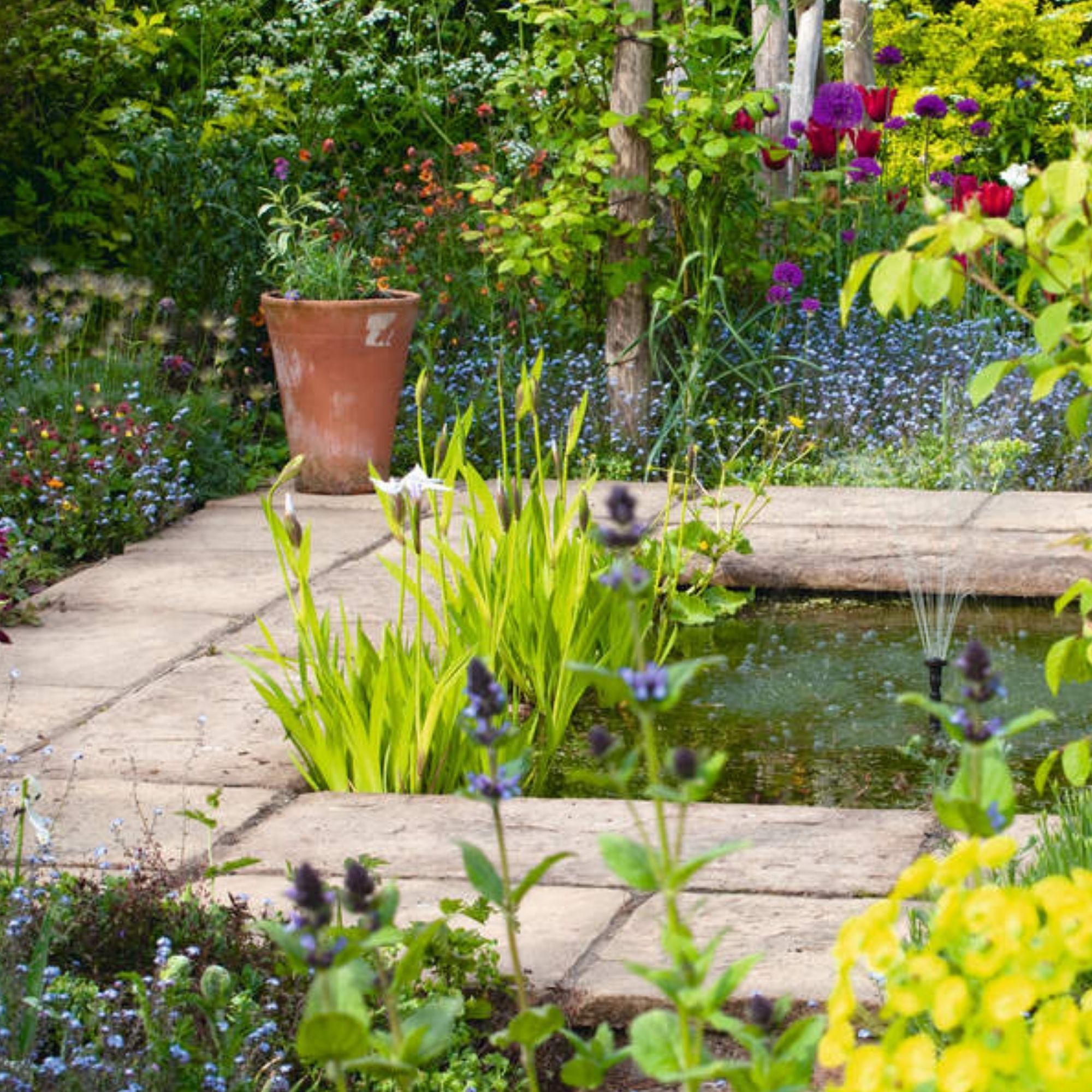 Meadowscaping is the easy garden trend we're seeing…