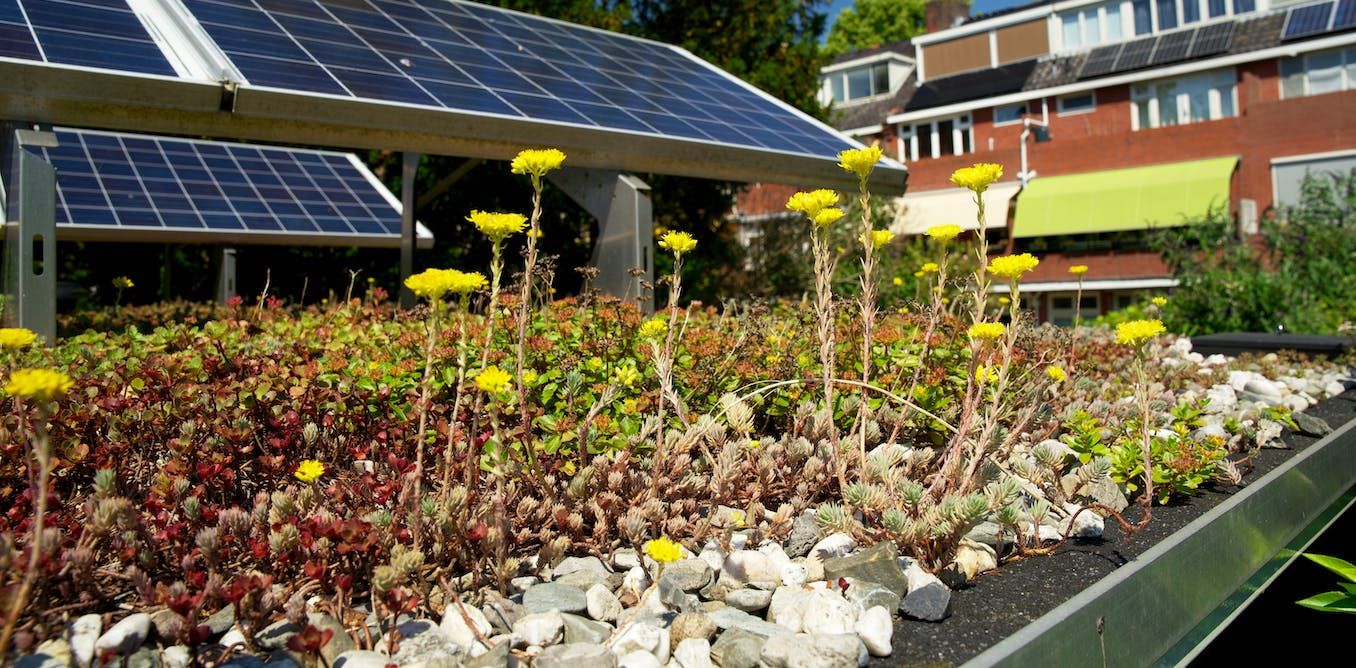 A green roof or rooftop solar? You can combine them in…