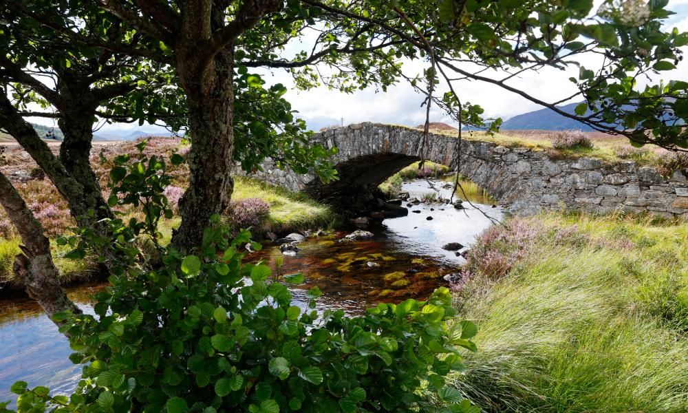 Highlands stone bridge becomes symbol of Scottish land…