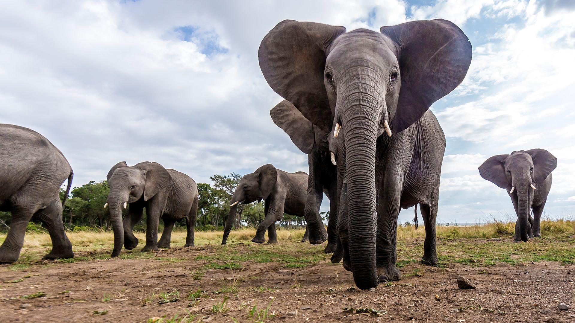 7 rules that explain Earth's most extreme animal…