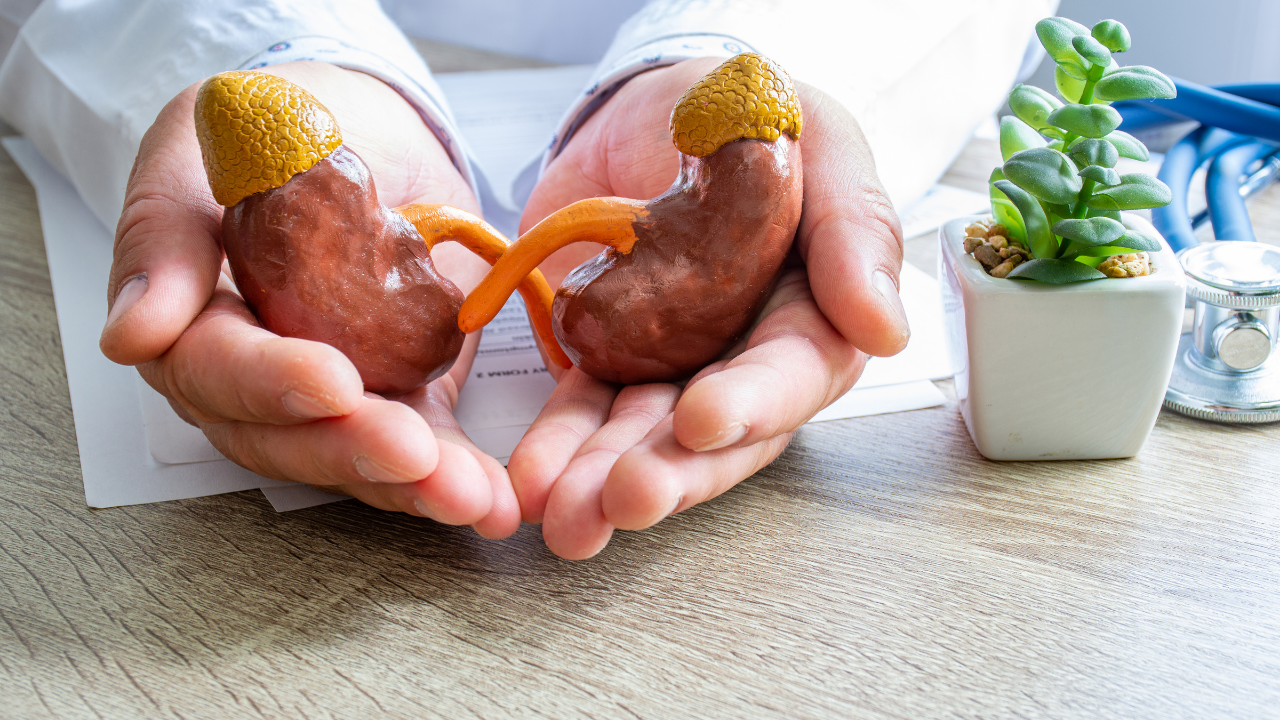 5 common causes of kidney damage and how to protect…