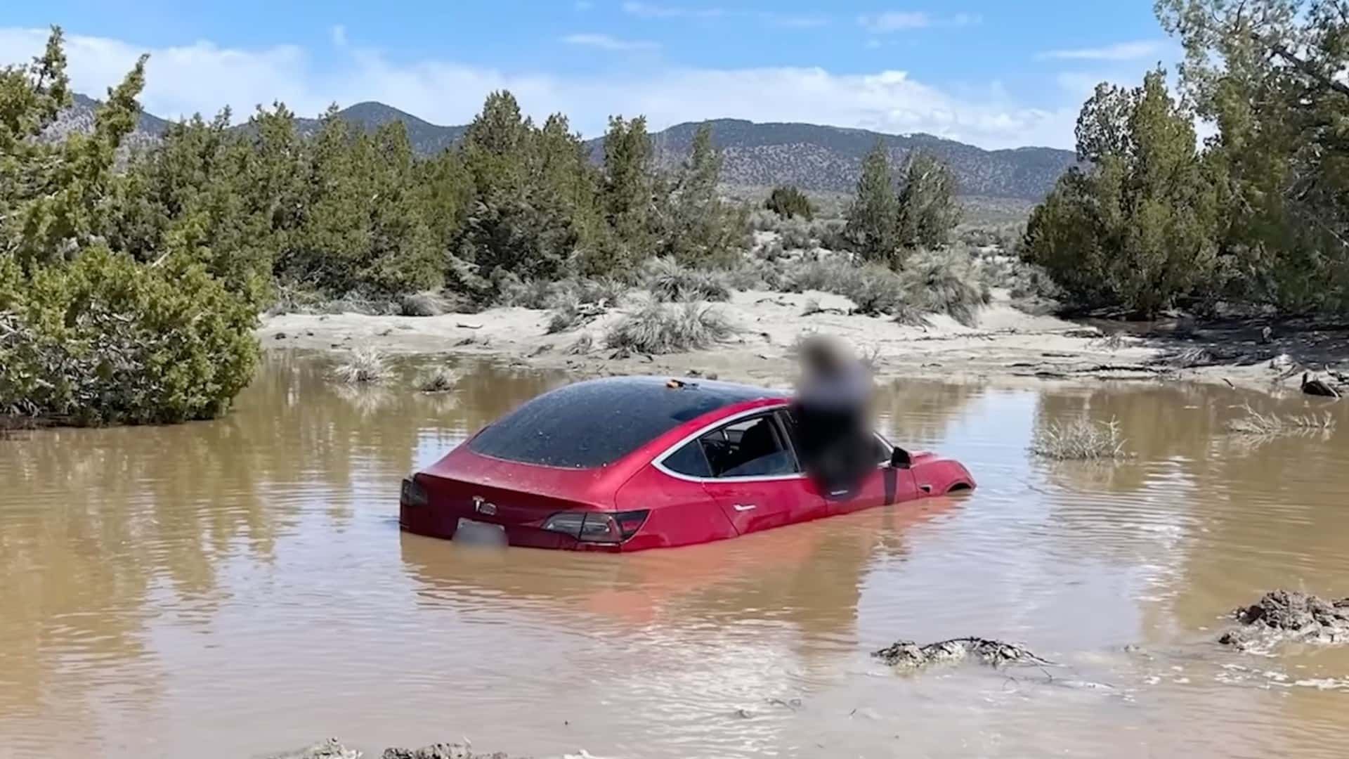 Watch Tesla Model 3 Dive Into Flood Water While…