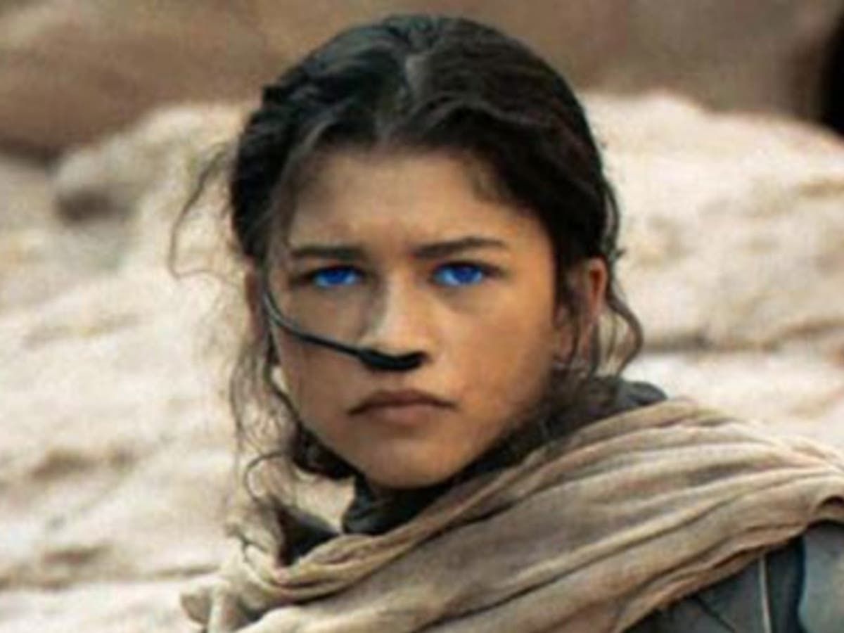 Dune fans bemused by Warner Bros’ decision to delay…