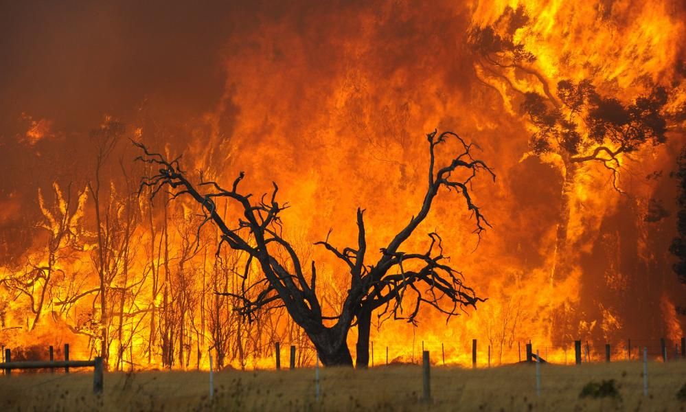 Today’s bushfires are off-the-scale bad. The only safe…
