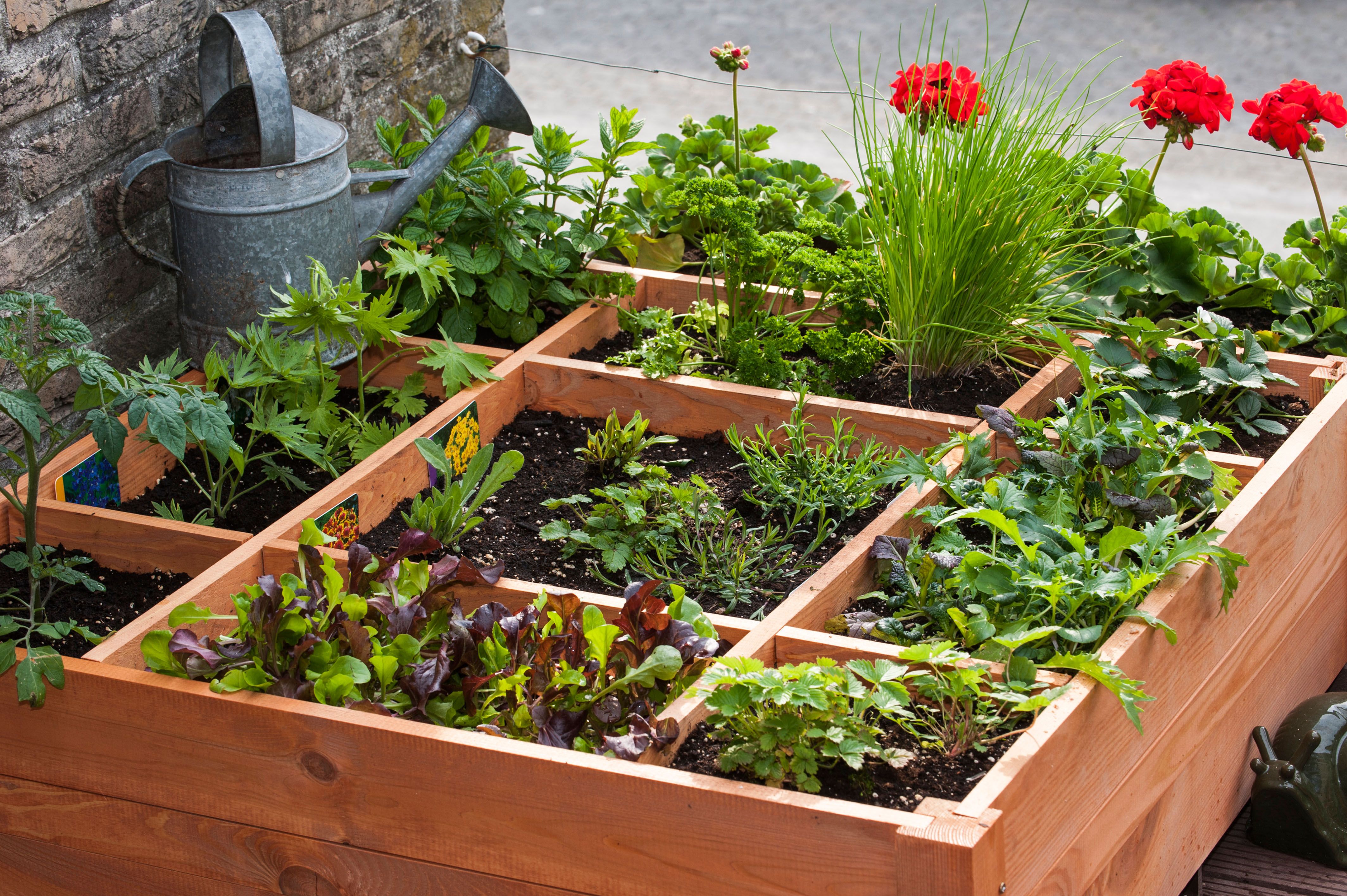 This low-effort vegetable gardening method is a genius…