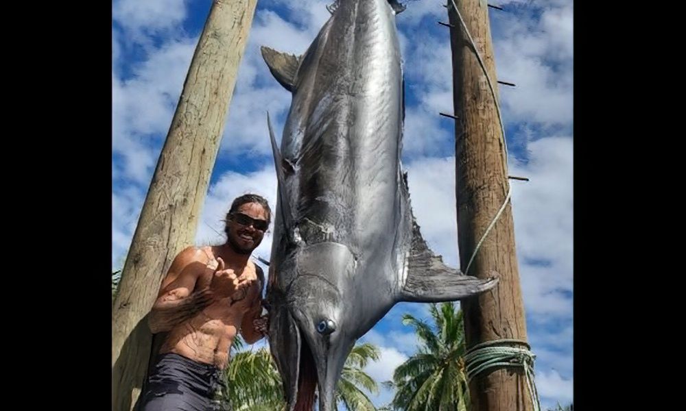 Angler lands rare ‘grander’ blue marlin, shatters…