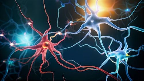 A Newly Discovered “Hybrid” Brain Cell Could Transform…