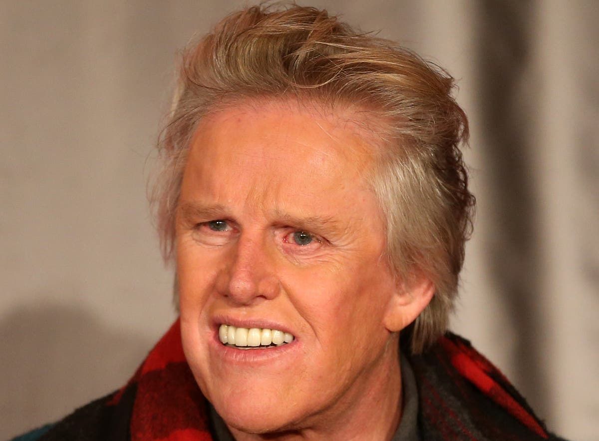 Embattled actor Gary Busey accused of hit-and-run in…