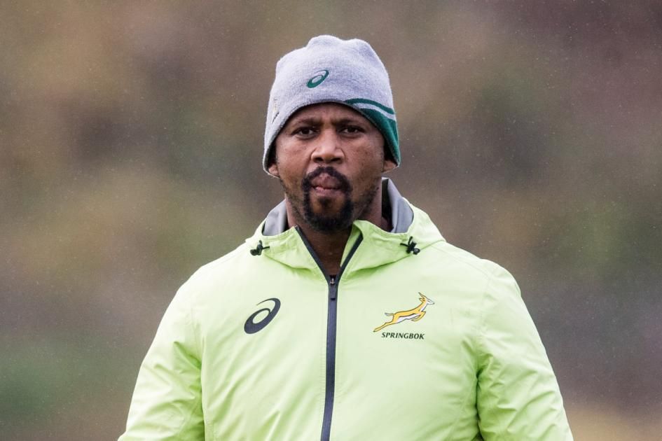 New Zealand the perfect test for Springboks to play…