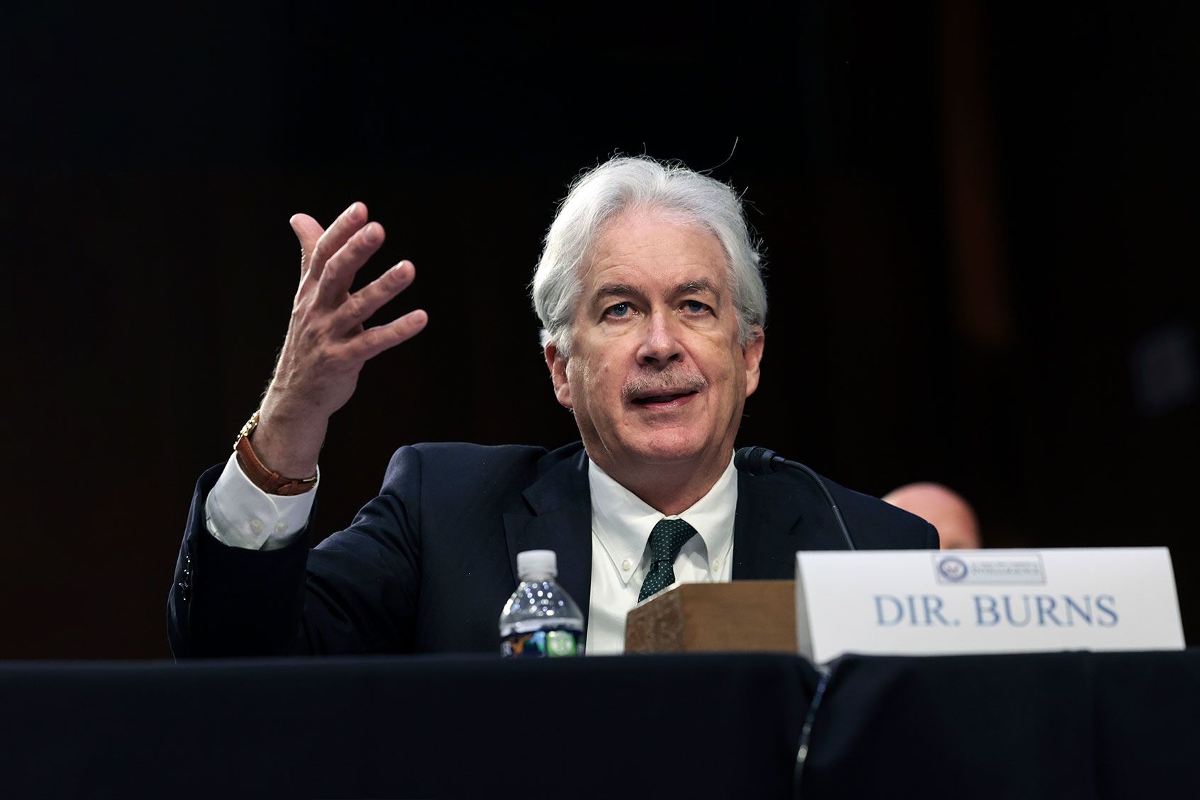 Bill Burns, the CIA and the Ukraine war