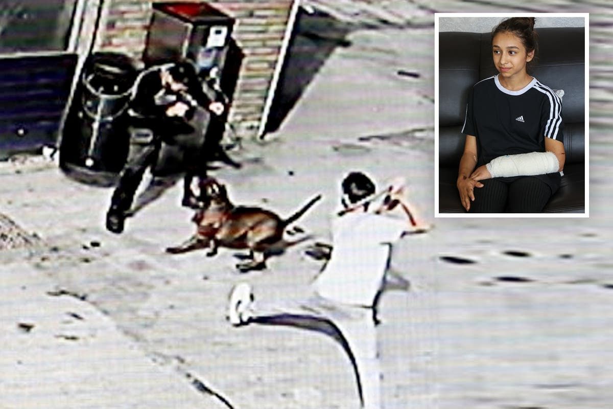 Schoolgirl relives moment XL bully dog savaged her…
