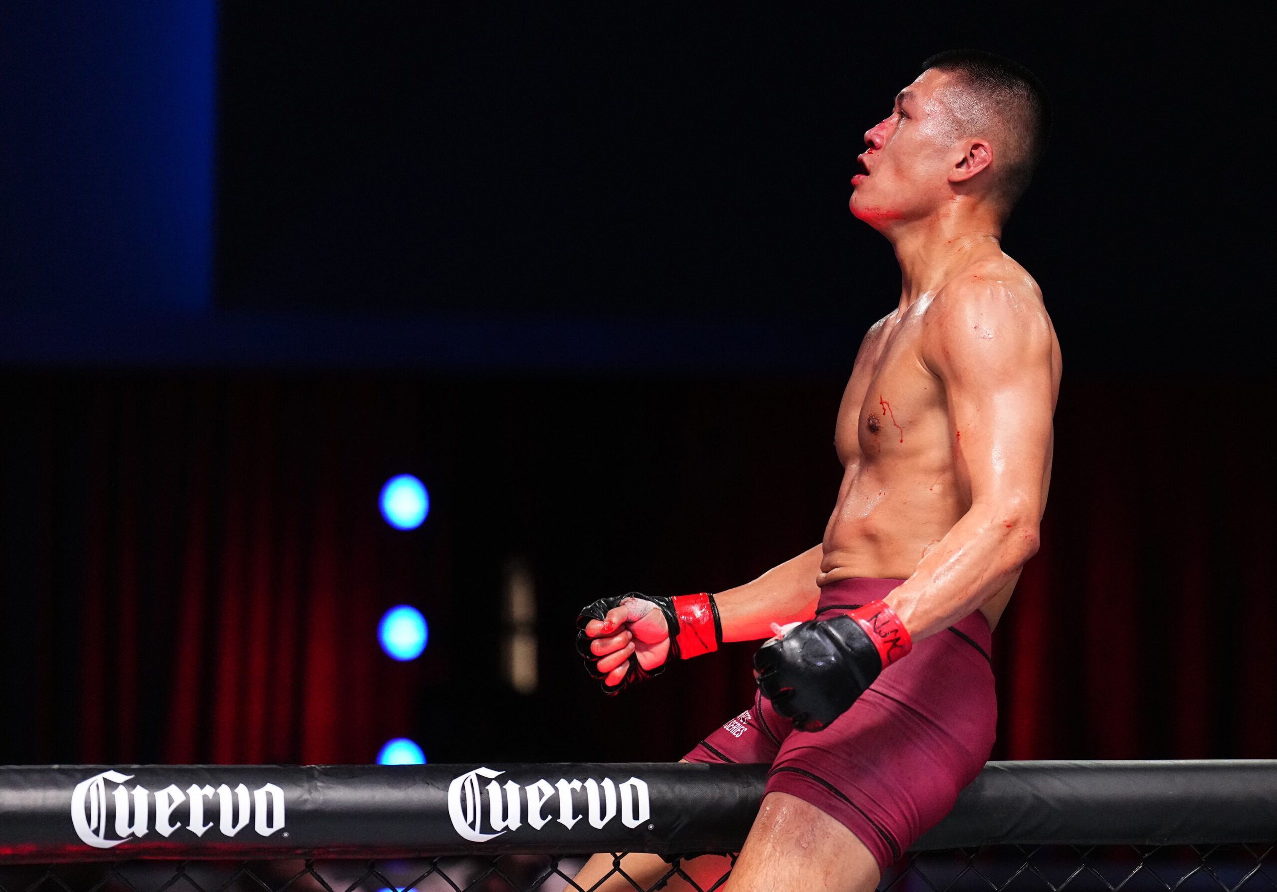 Dana White’s Contender Series 62: Grading the winners