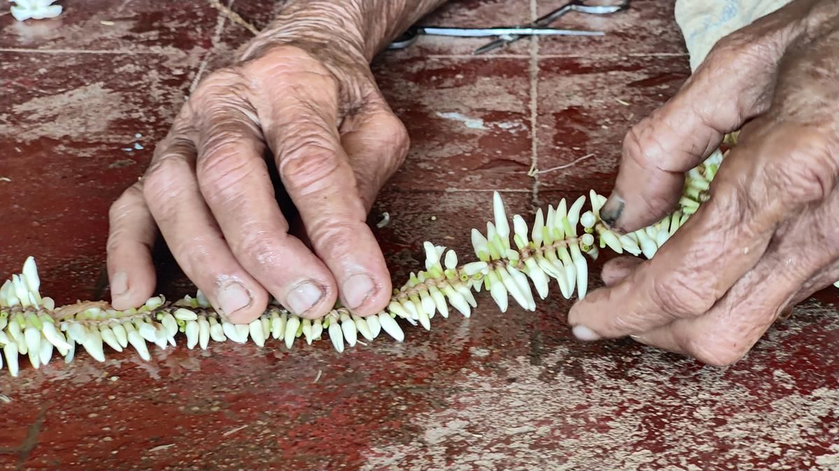 As prices of Udupi mallige plummet, a small Christian…