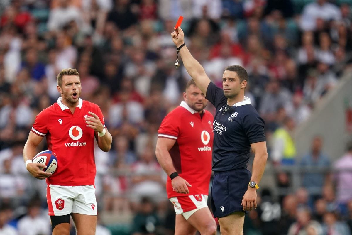 England vs Japan referee: Who is Rugby World Cup…