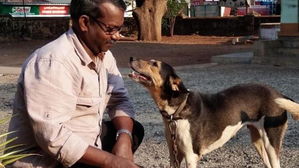 Rosei an ambassador of animal birth control programme…