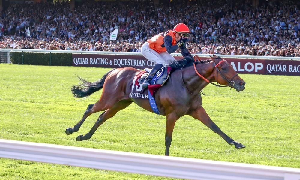 Talking Horses: Ace Impact’s Arc feat so good we may…