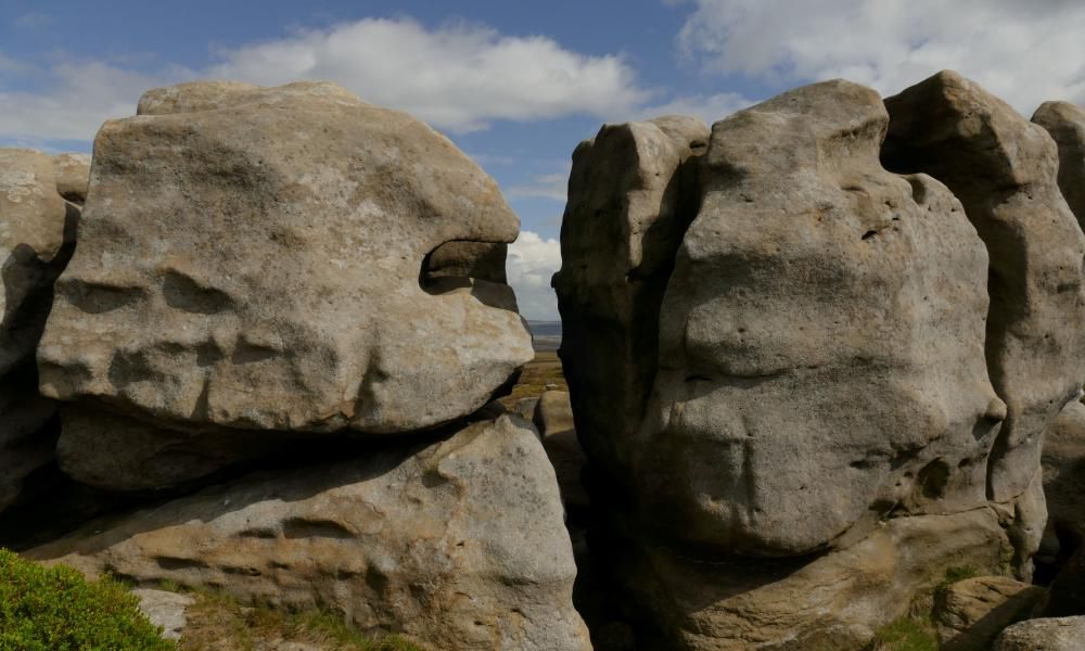 Country diary: The most beautiful monuments on a moor…