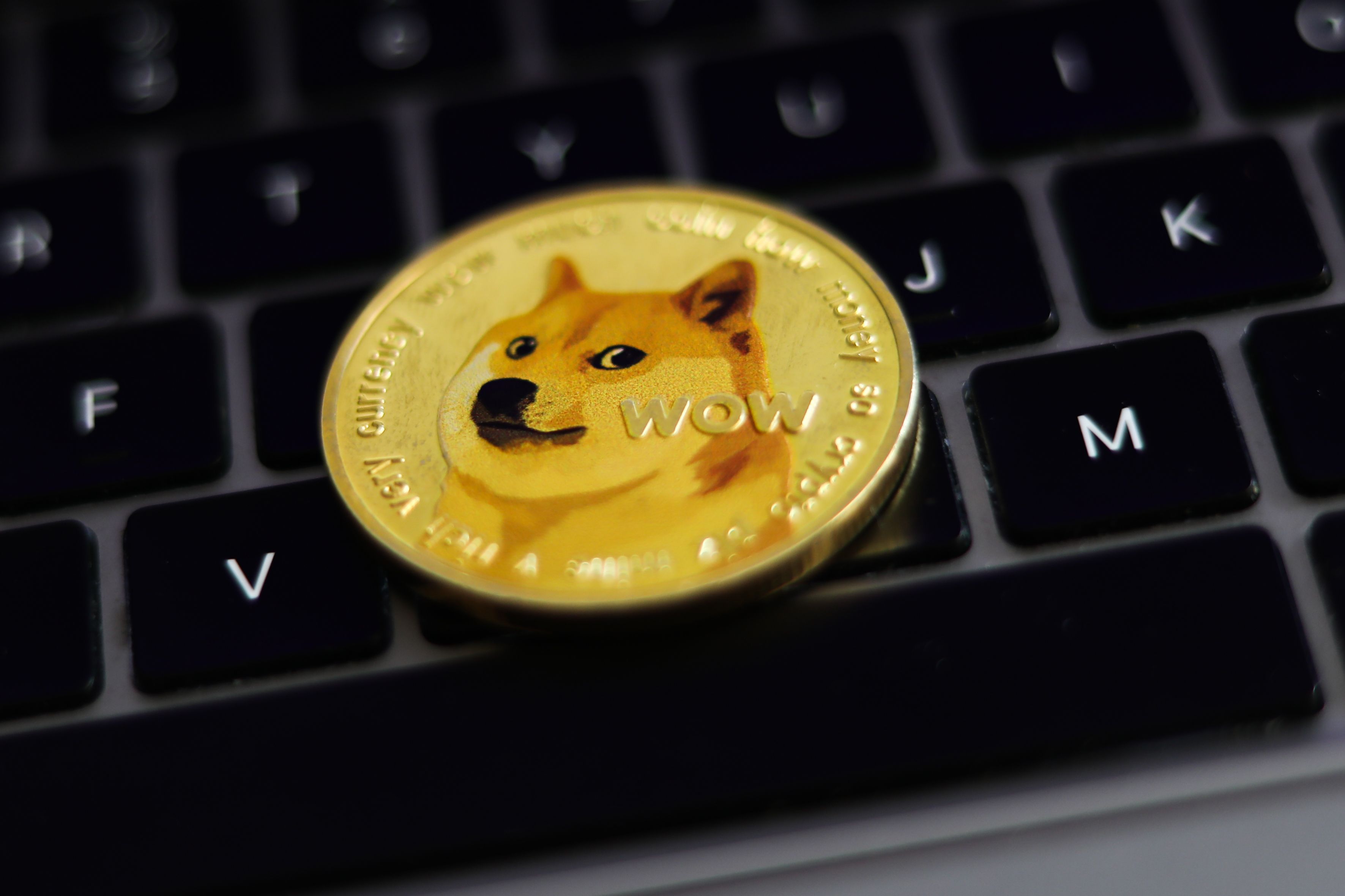 Doge Meme Community Collaborates With Local Government…