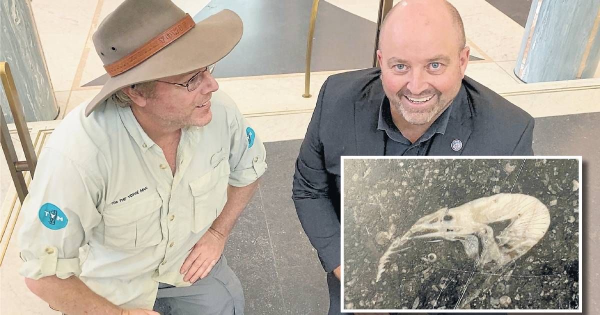 Check out the prehistoric 'prawn' at Parliament House
