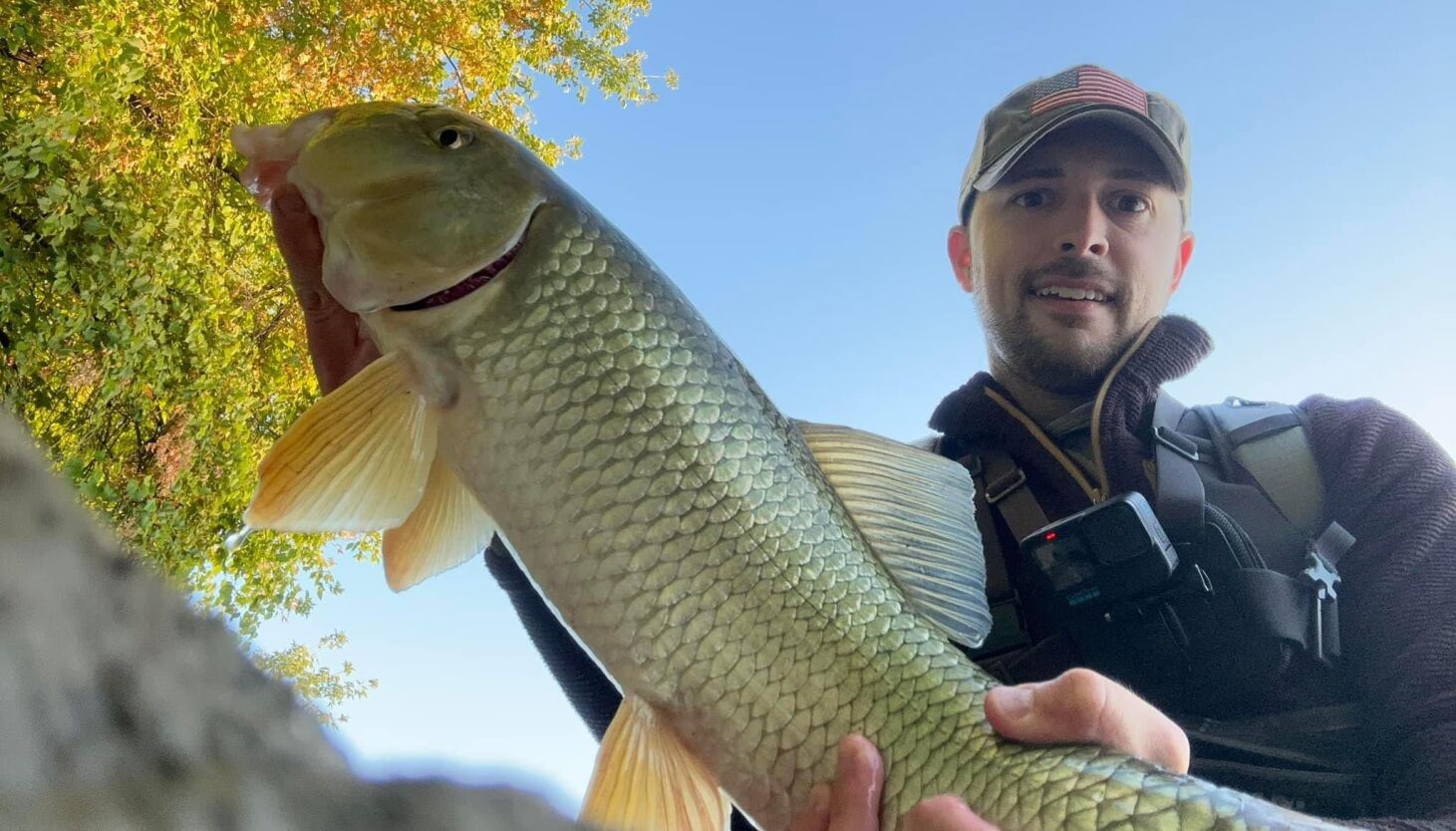 The Latest Breaking News from Fox – inkl news