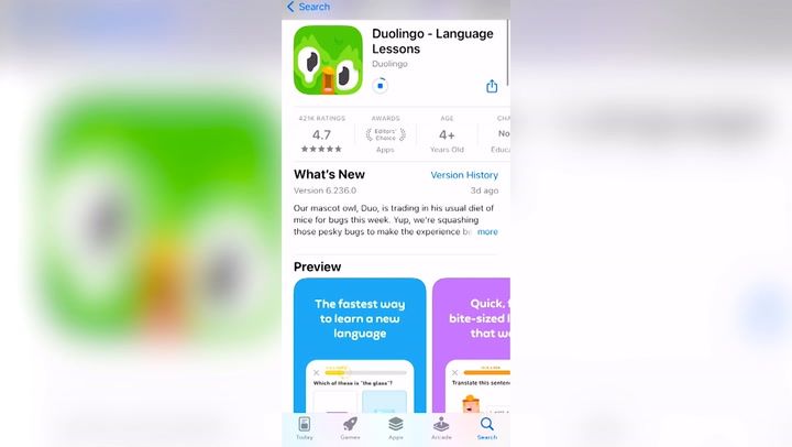 Why is Duolingo melting? Language app displays unusual…