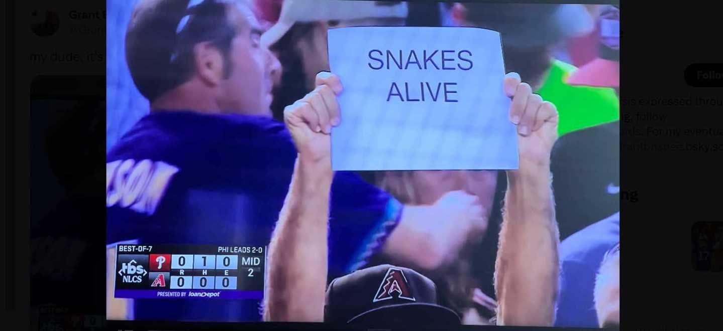 How Snakes Alive became a meme, then a Diamondbacks…