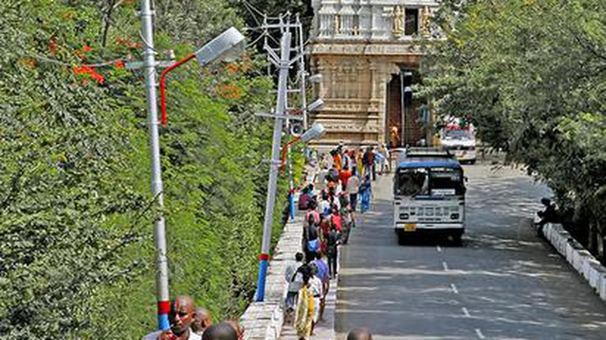 Camera detects wild animals on Tirumala footpath, TTD…