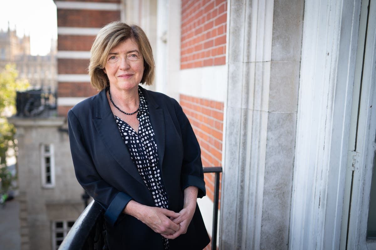 Sue Gray’s son reveals bid to be Labour MP in winnable…