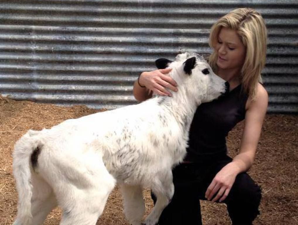 From farm girl to high-flyer: The real Sarah Higgins