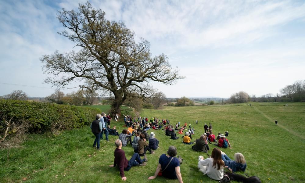 ‘Darwin’s oak’ to be felled to make way for Shrewsbury…