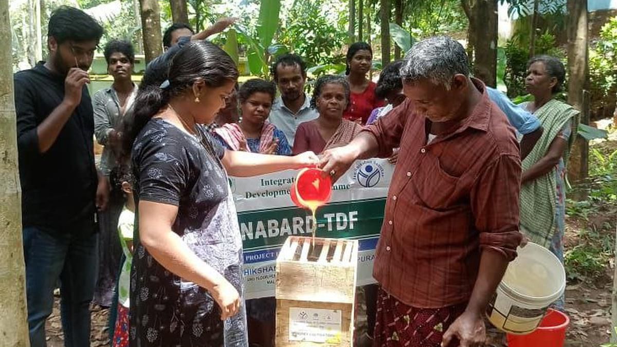 NABARD scripts success story in tribal hamlets of…