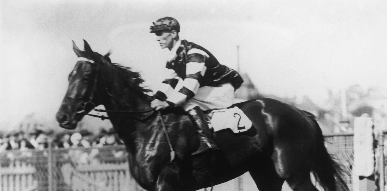 How Phar Lap’s skin, bones and heart became ‘holy…