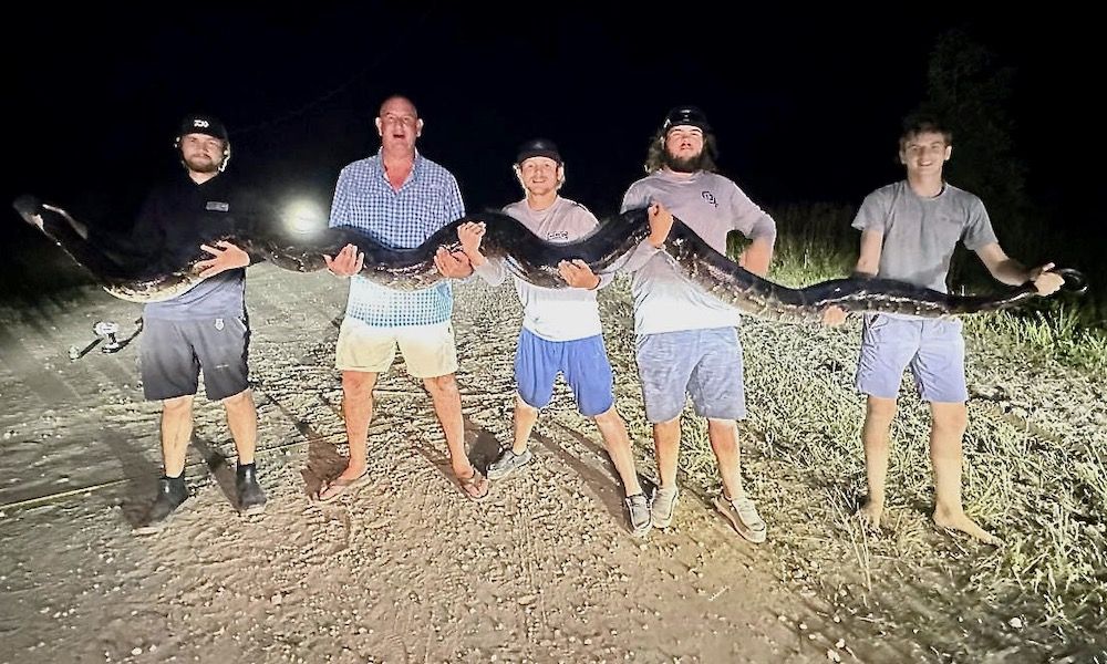 Five men catch second-heaviest python ever captured in…