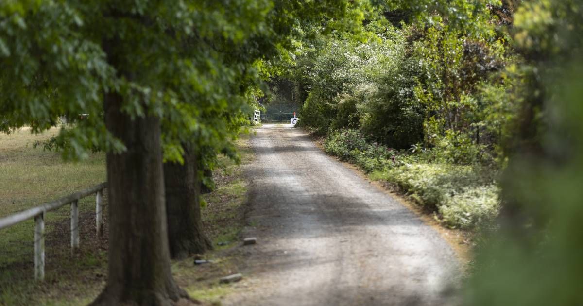 Cambrey Farm is a peaceful garden revealing…