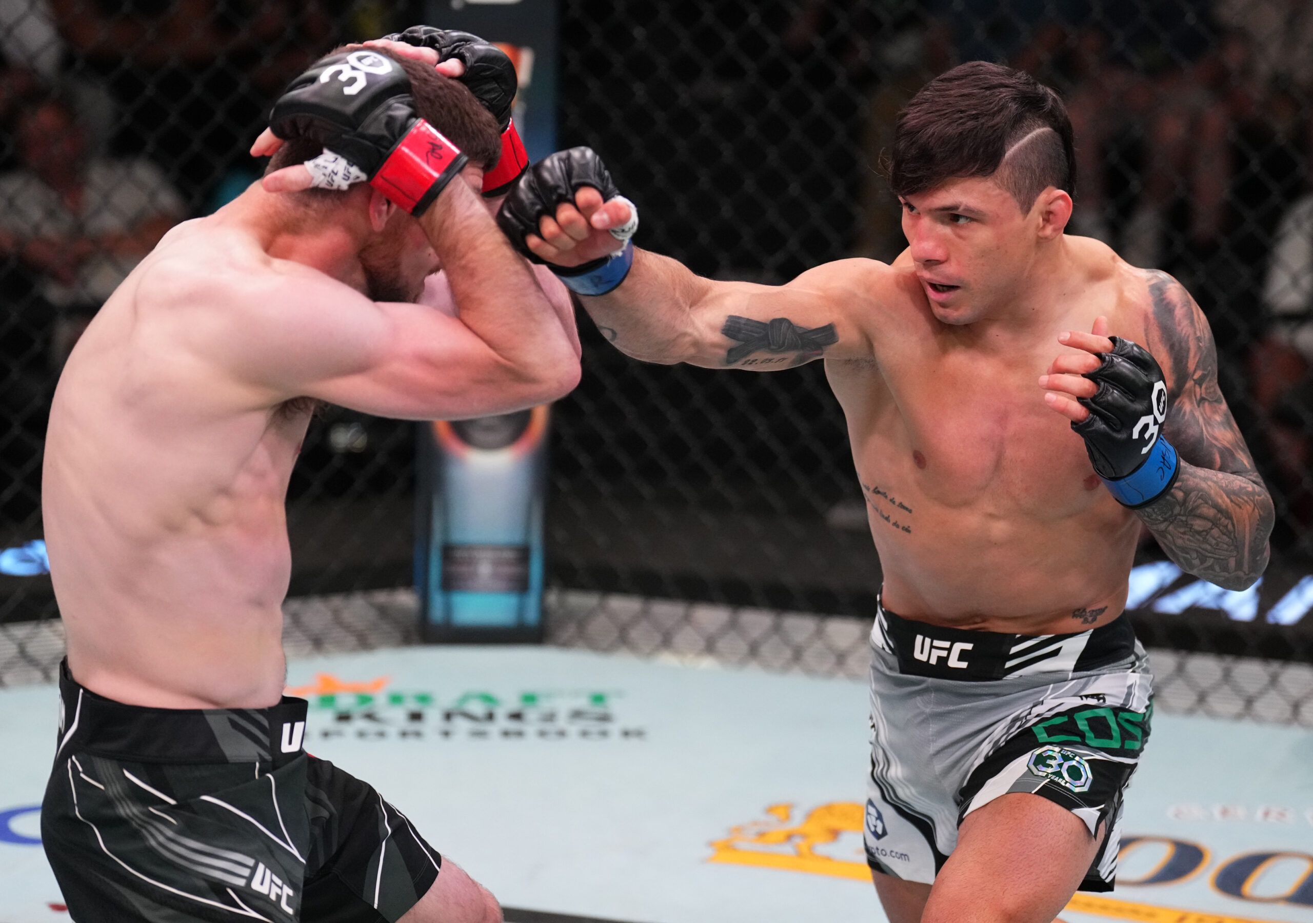 Alessandro Costa sees ‘many flaws’ in Stephen Erceg,…