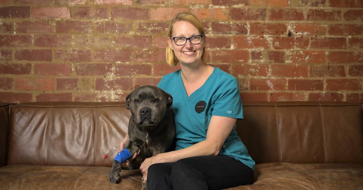 'It's certainly very scary': Tick cases climb in…