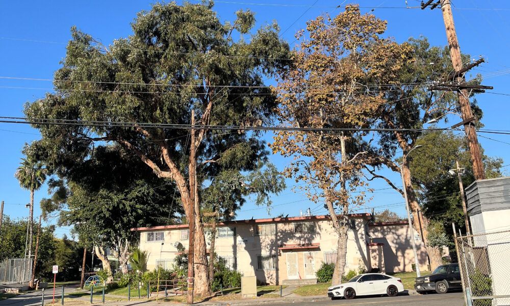 Without Tree Cover, Urban Californians Are Hit Harder…