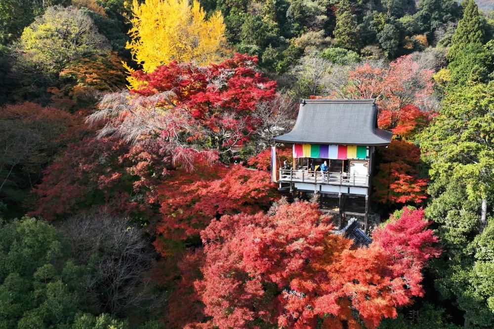 Japan’s haiku poets lost for words as climate crisis…