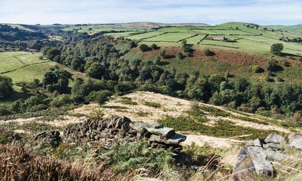 Country diary: A marginal place with a touch of magic…