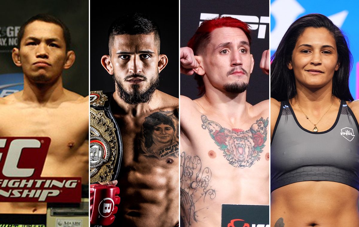 UFC veterans in MMA action Nov. 17-19